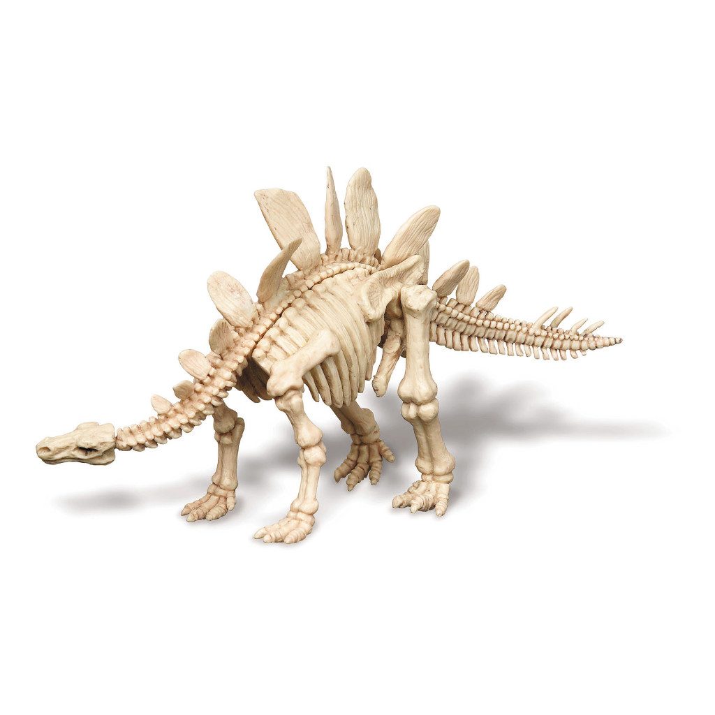 Stegosaurus Opgraven en Maken 4M kopen? ⋆ QID Ontdekt