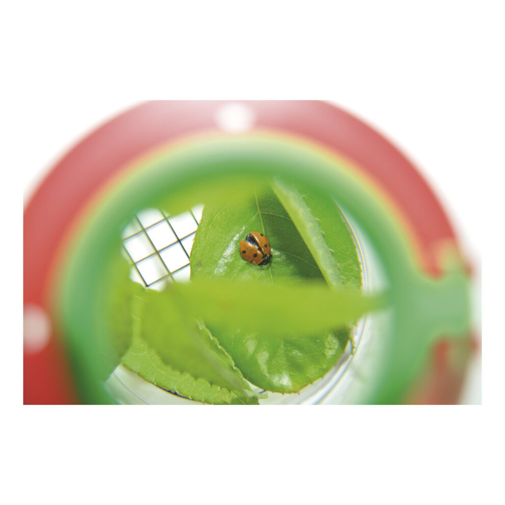 Kijkpot Met Vergrootglas Groot kopen? Bekijk ⋆ QIDDIE